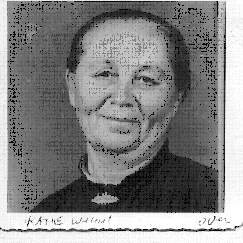 WelderHeritageBook.html